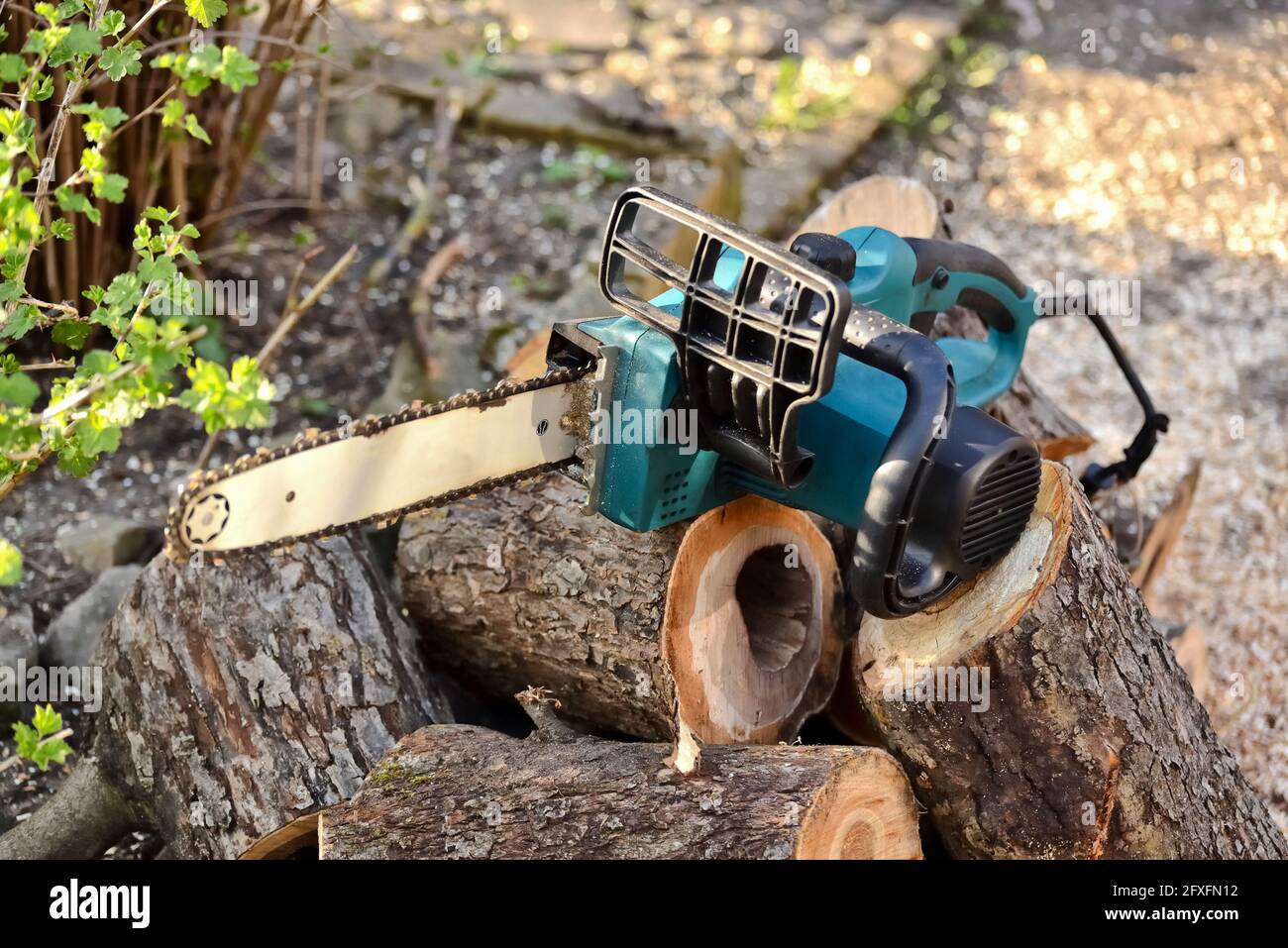 Eco-friendly electric chain saw on a pile of sawn tree trunks in the ...