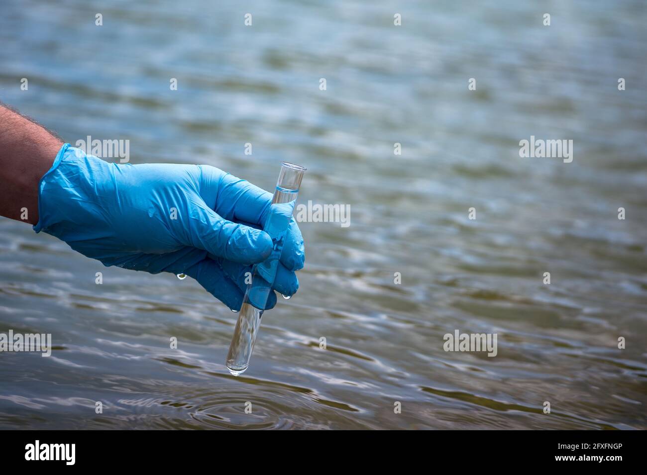 Water sample. A man's hand in a blue glove takes a sample water into a ...