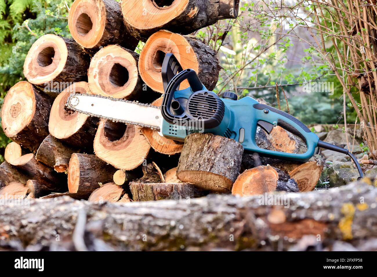 Sawing tree trunks during seasonal work in the garden. Harvesting and ...
