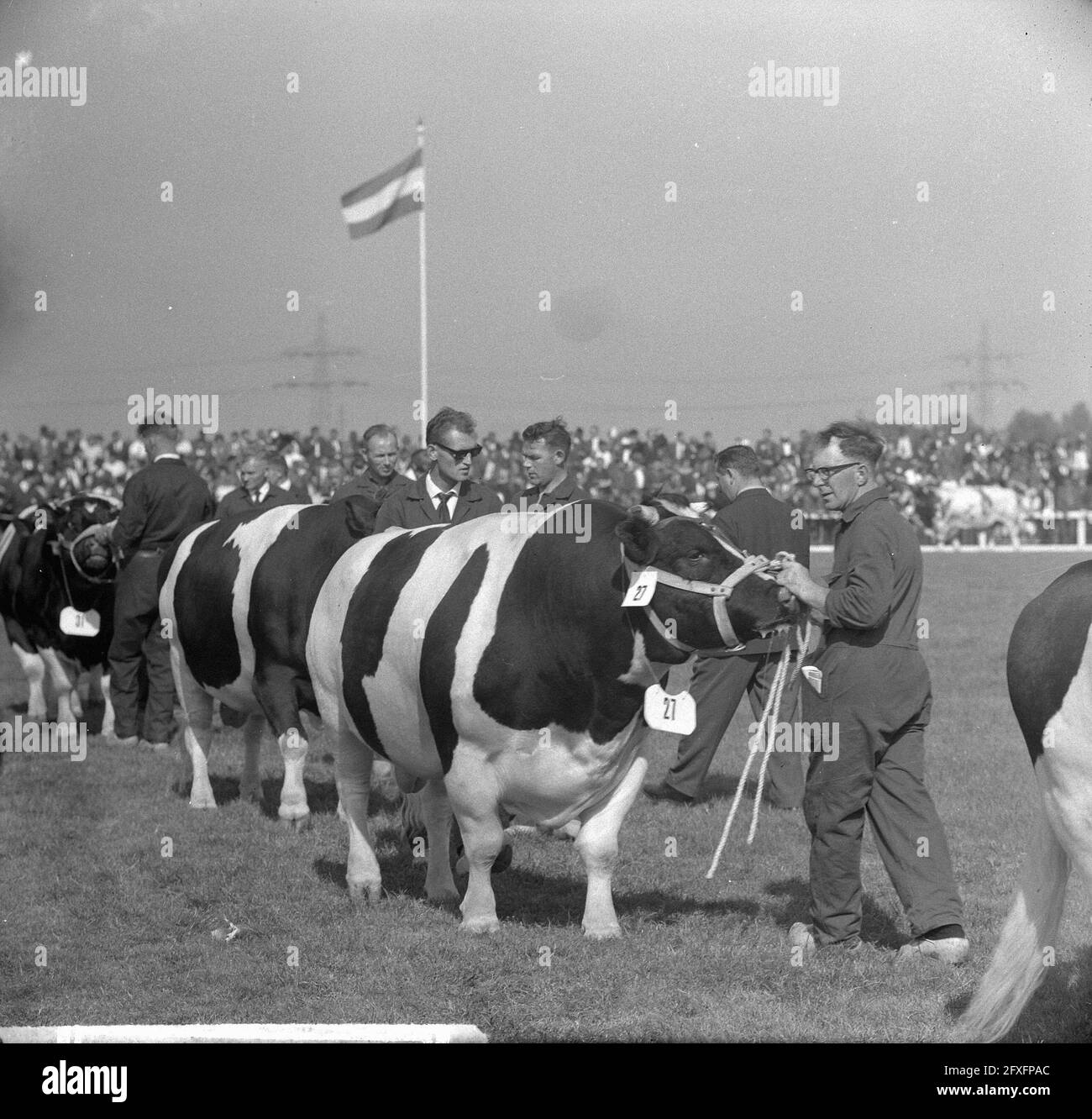 Queen Juliana visited the exhibition Cattle herdbook in Den Bosch, the ...