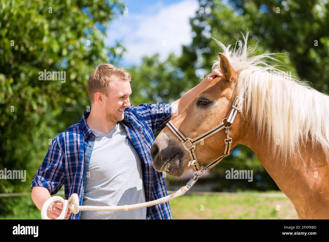 Man petting horse on pony farm Stock Photo - Alamy