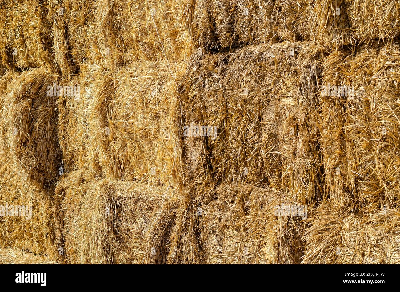 Bottom of a stack of Rectangular dry hay bales. Storage of dry herbs ...