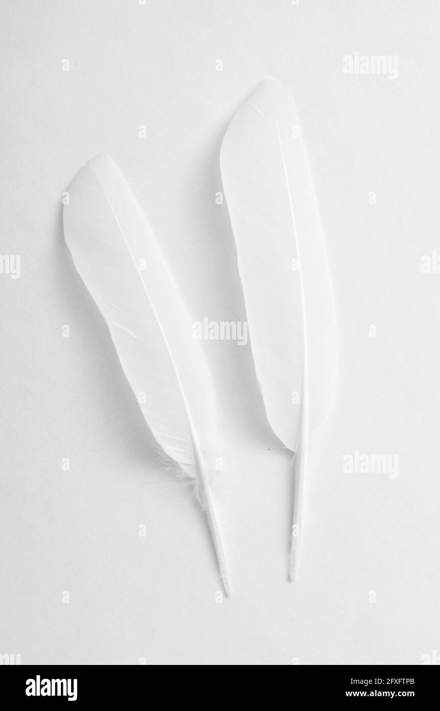 Group white light brown Black and White Stock Photos & Images - Alamy