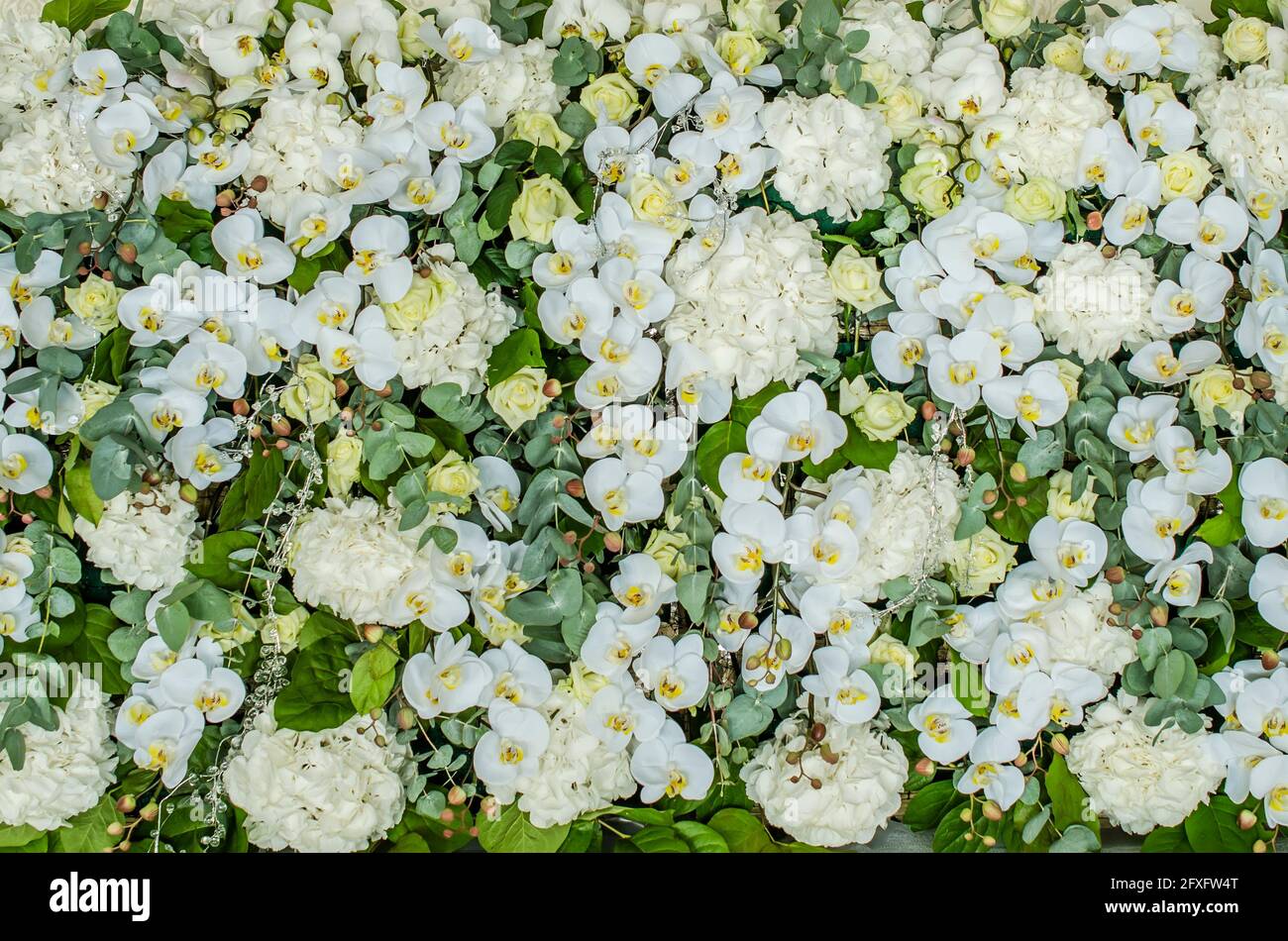 texture of flowers Stock Photo - Alamy