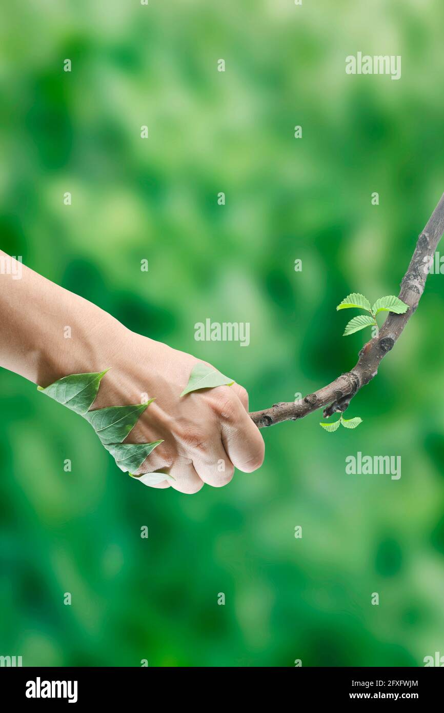 cooperation of man and nature concept Stock Photo - Alamy