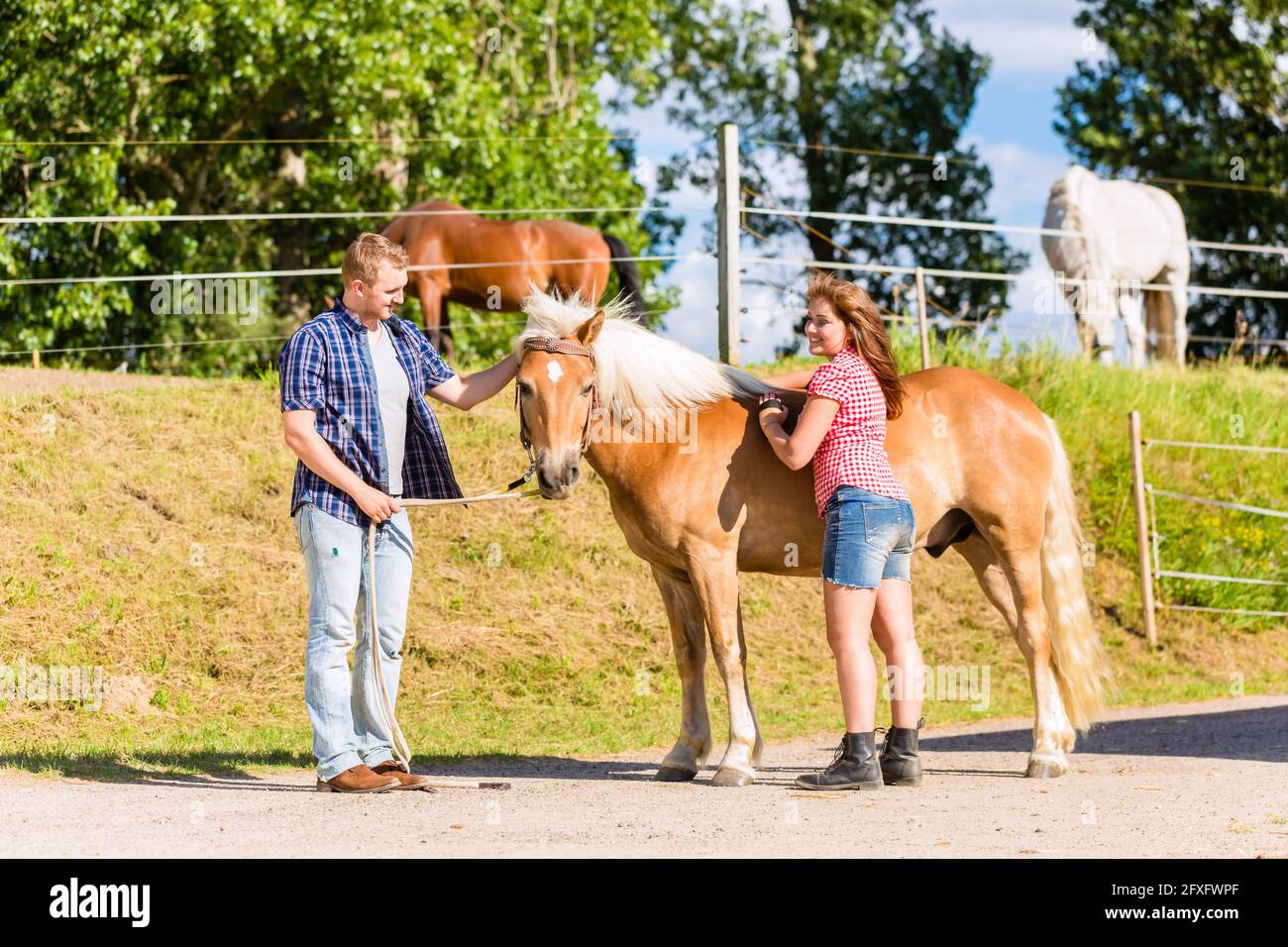 Pony stable hi-res stock photography and images - Alamy