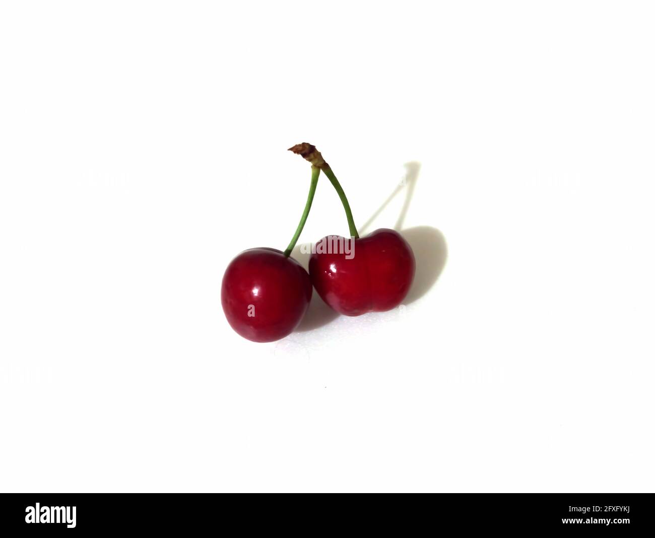 Two red ripe shiny fresh sweet cherries attached by their stem. White ...