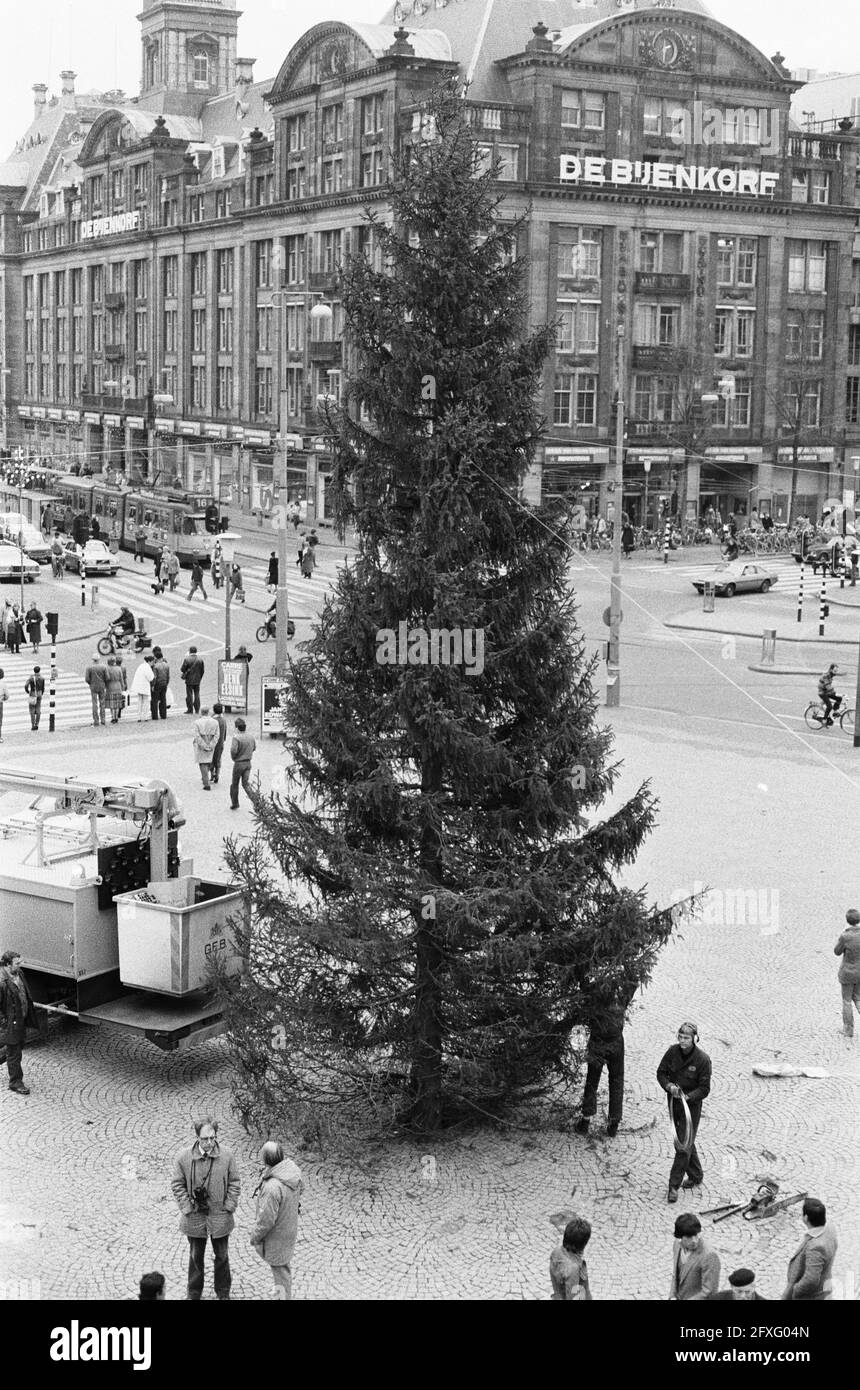 Today another large christmas tree hi-res stock photography and images ...