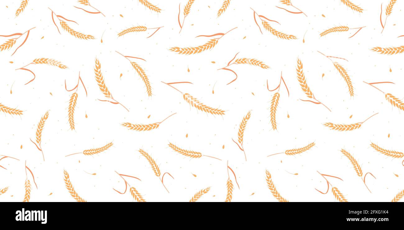 Seamless pattern with whole grain seeds organic, natural ears isolated ...