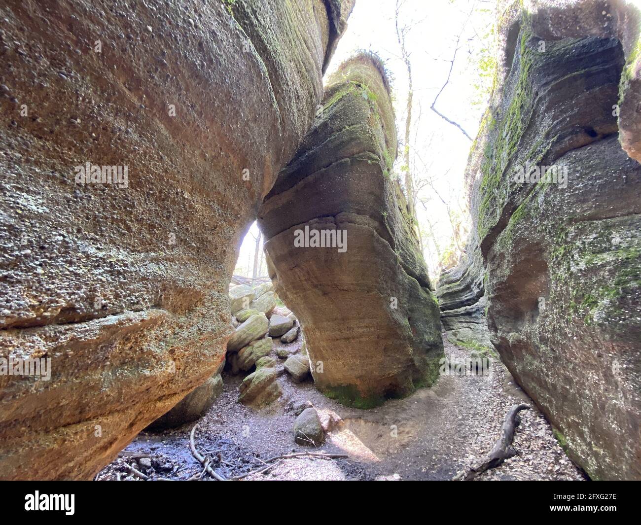 Closeup of rock formations covered by mold with bright sky shining in ...
