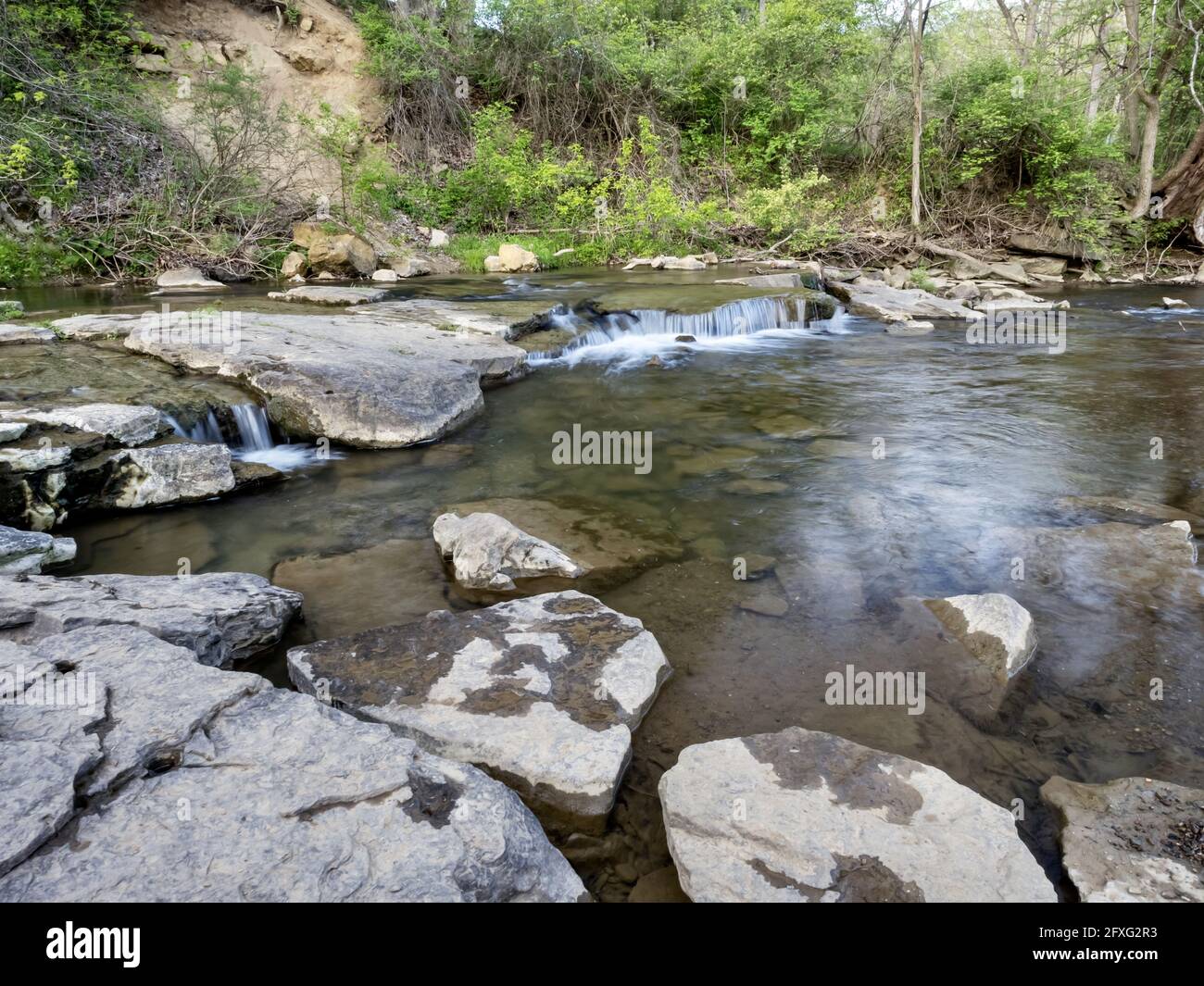 Closeup shot of a beautiful park landscape with pond and green trees ...