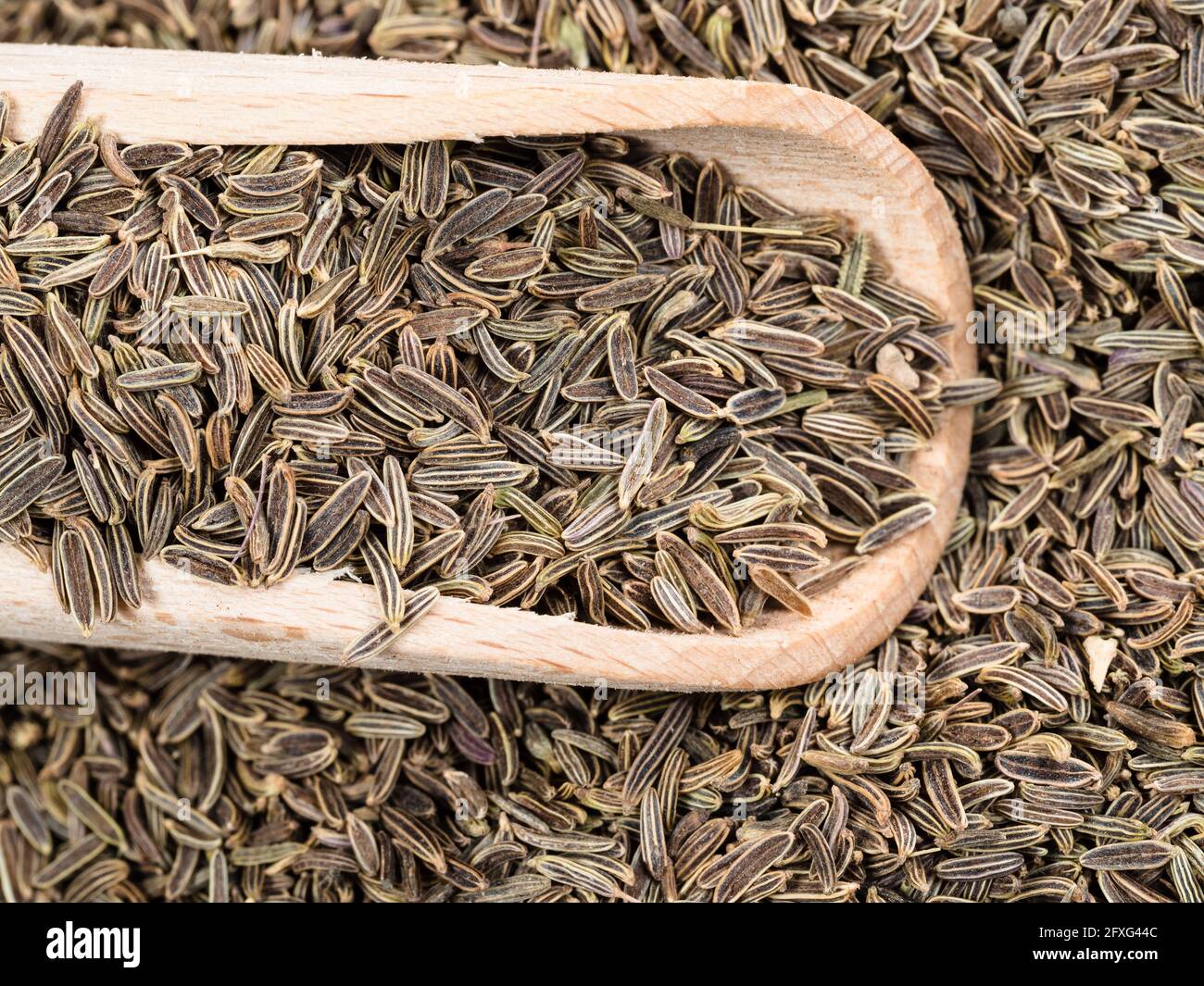 wooden scoop on pile of kala zeera seeds (elwendia persica, black cumin ...