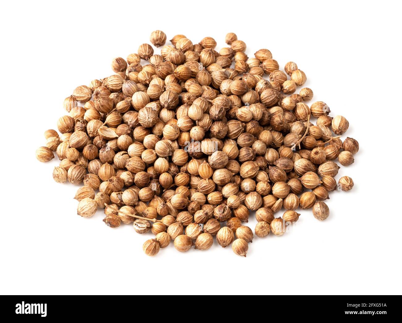 pile of dried coriander seeds closeup on white background Stock Photo - Alamy