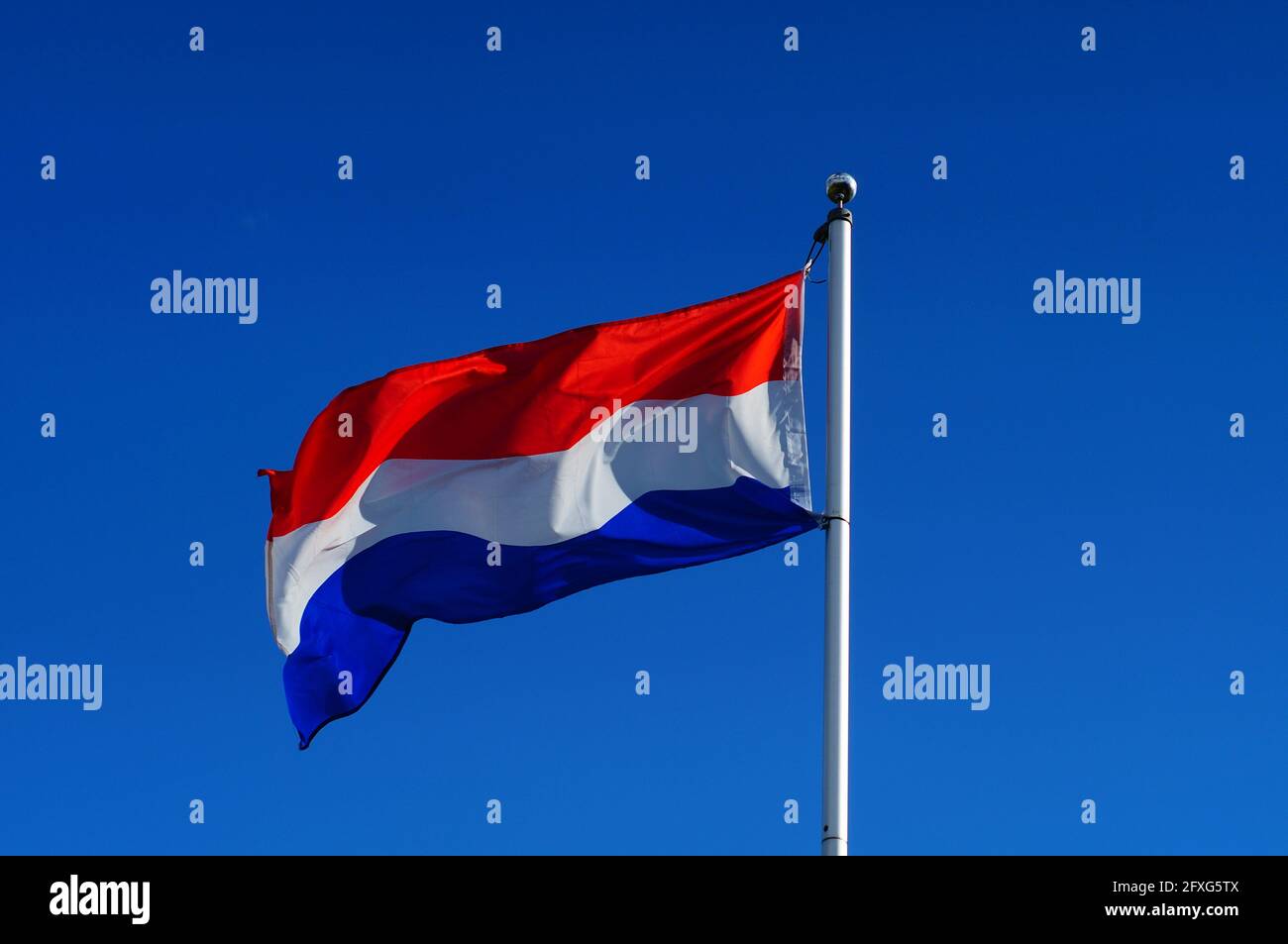 A Dutch flag waving in the wind Stock Photo - Alamy