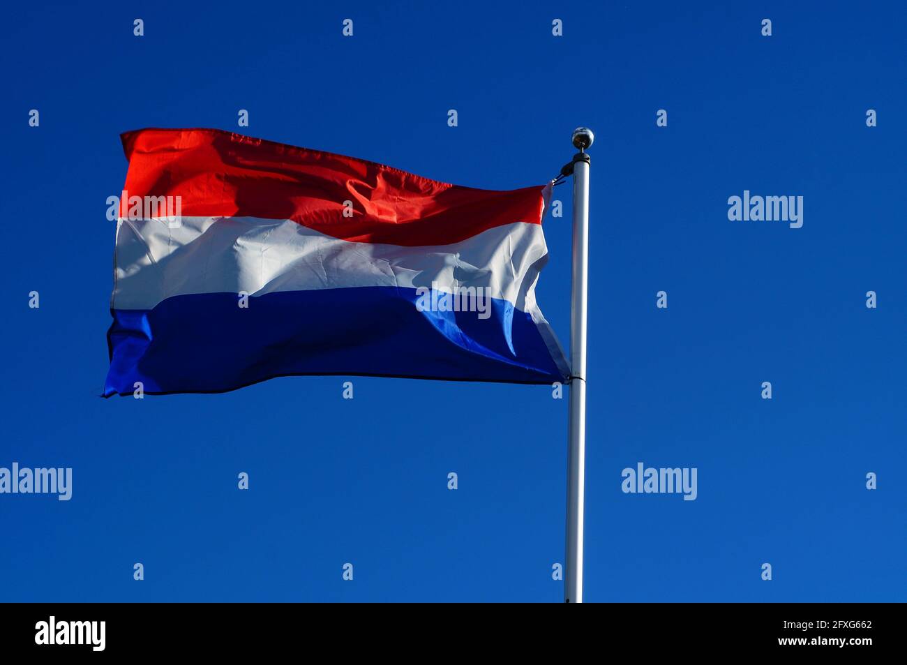 A Dutch flag waving in the wind Stock Photo - Alamy