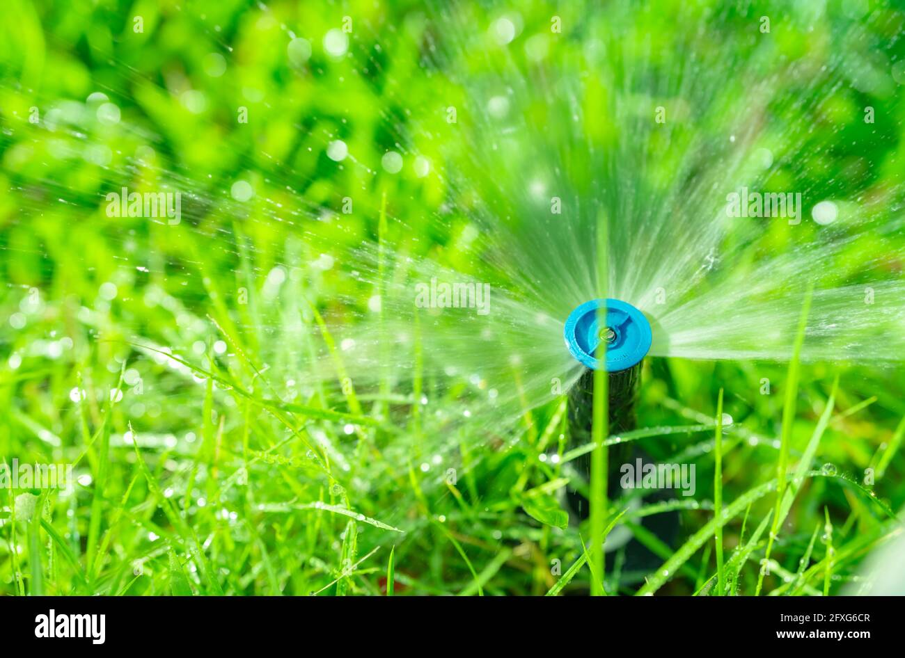 Automatic lawn sprinkler watering green grass. Sprinkler with automatic ...