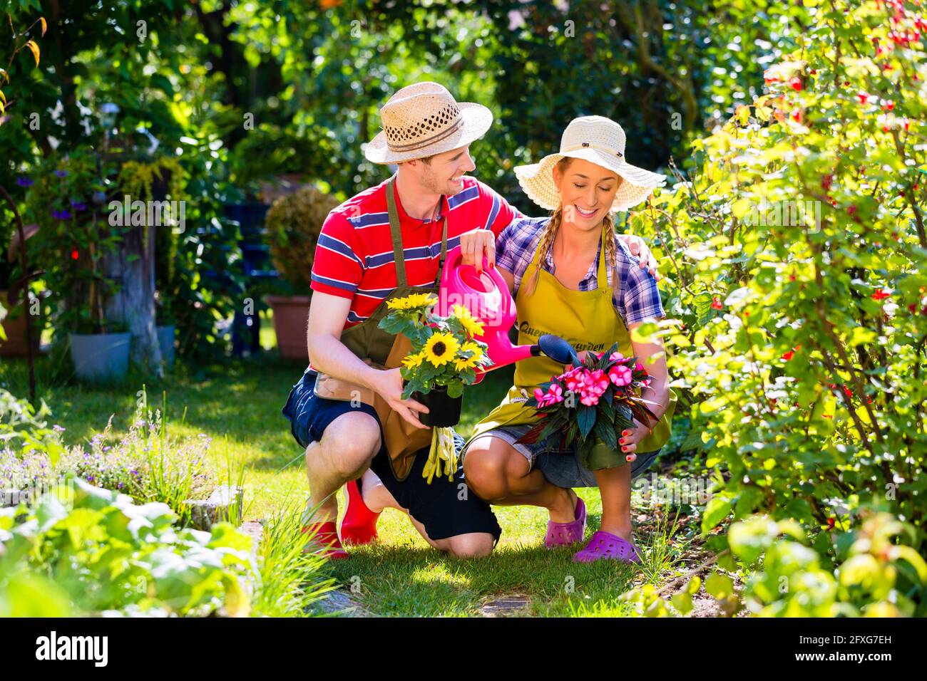 Couple planting flowers in garden Stock Photo - Alamy