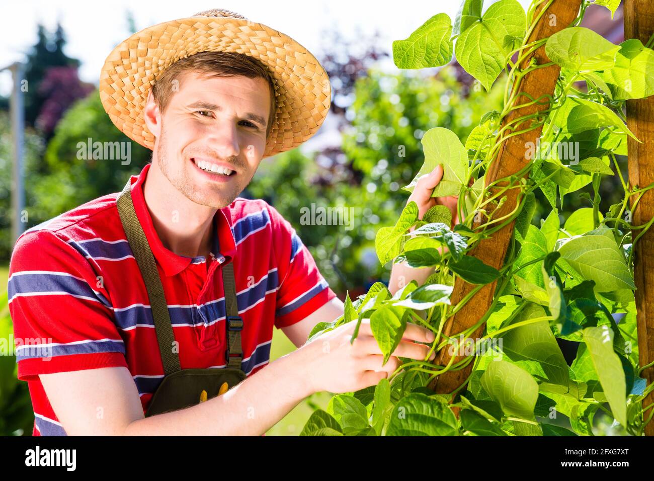 Growing flowers and vegetables together hi-res stock photography and ...