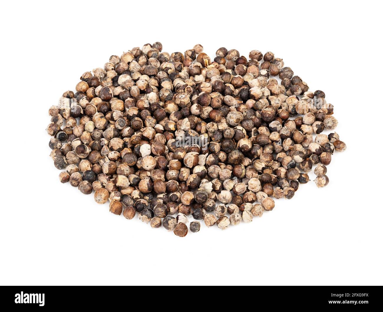 handful of monk's pepper (Vitex) closeup on white background Stock ...