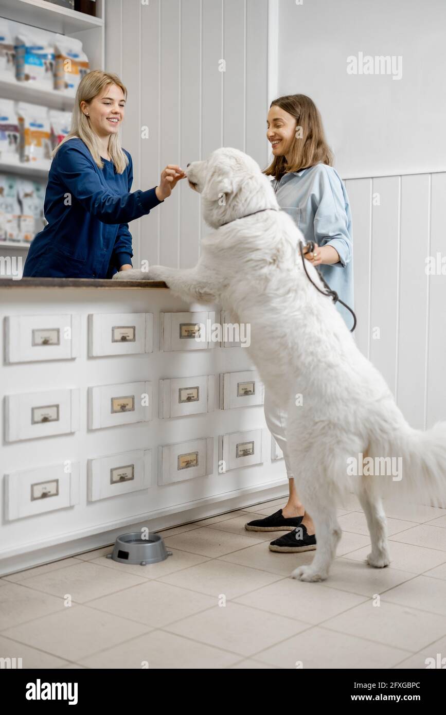 Hospital shop assistant hi-res stock photography and images - Alamy