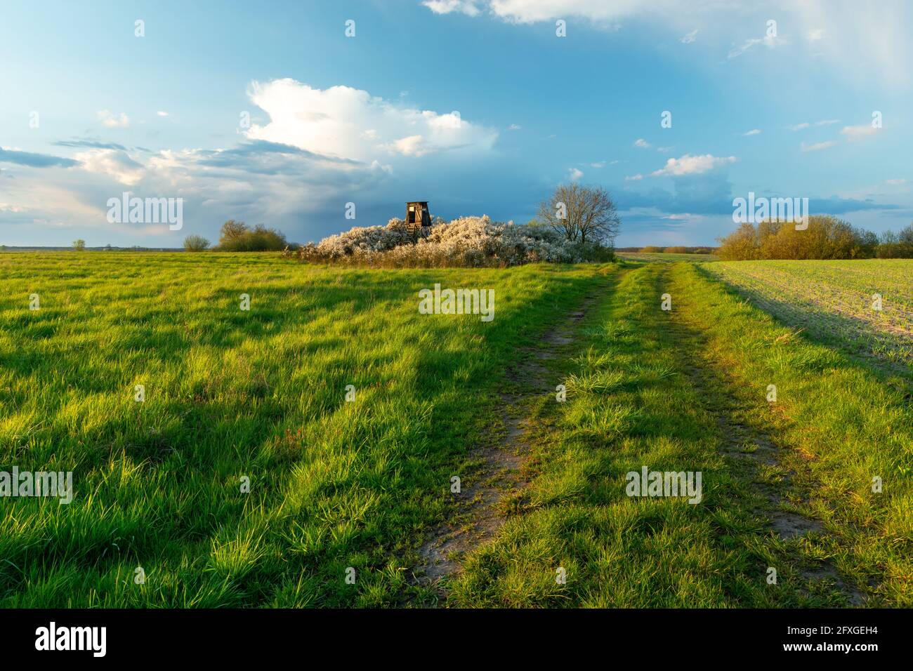 Hunting pulpit hi-res stock photography and images - Alamy