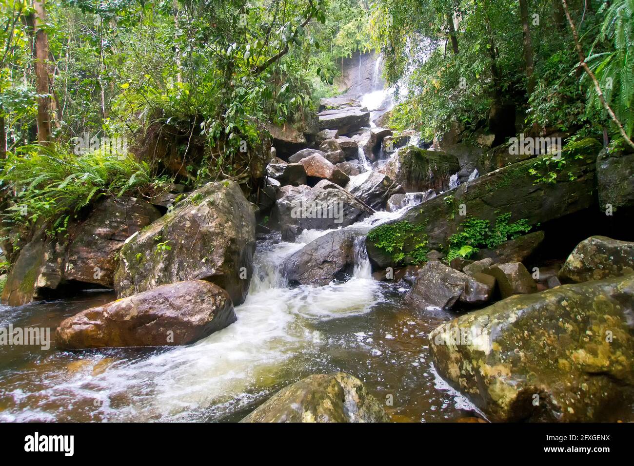Waterfall, Sinharaja National Park Rain Forest, Sinharaja Forest ...