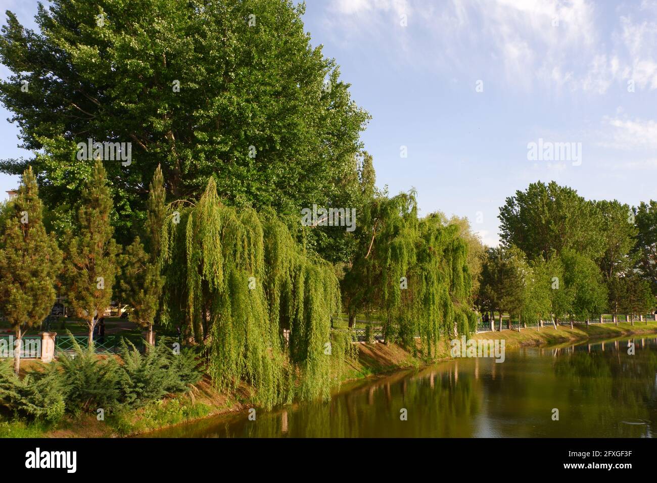 Trees Riverside at a Sunny Day in Turkey Stock Photo - Alamy
