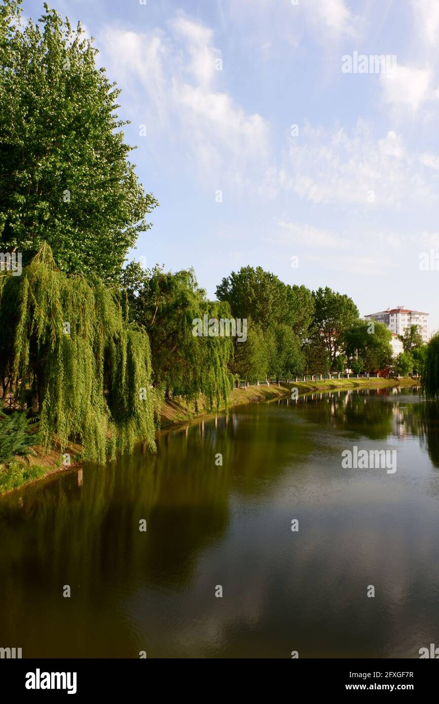 Trees Riverside at a Sunny Day in Turkey Stock Photo - Alamy