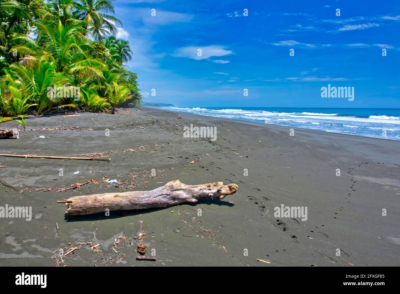 Beach, Corcovado National Park, Osa Conservation Area, Osa Peninsula, Costa Rica, Central ...