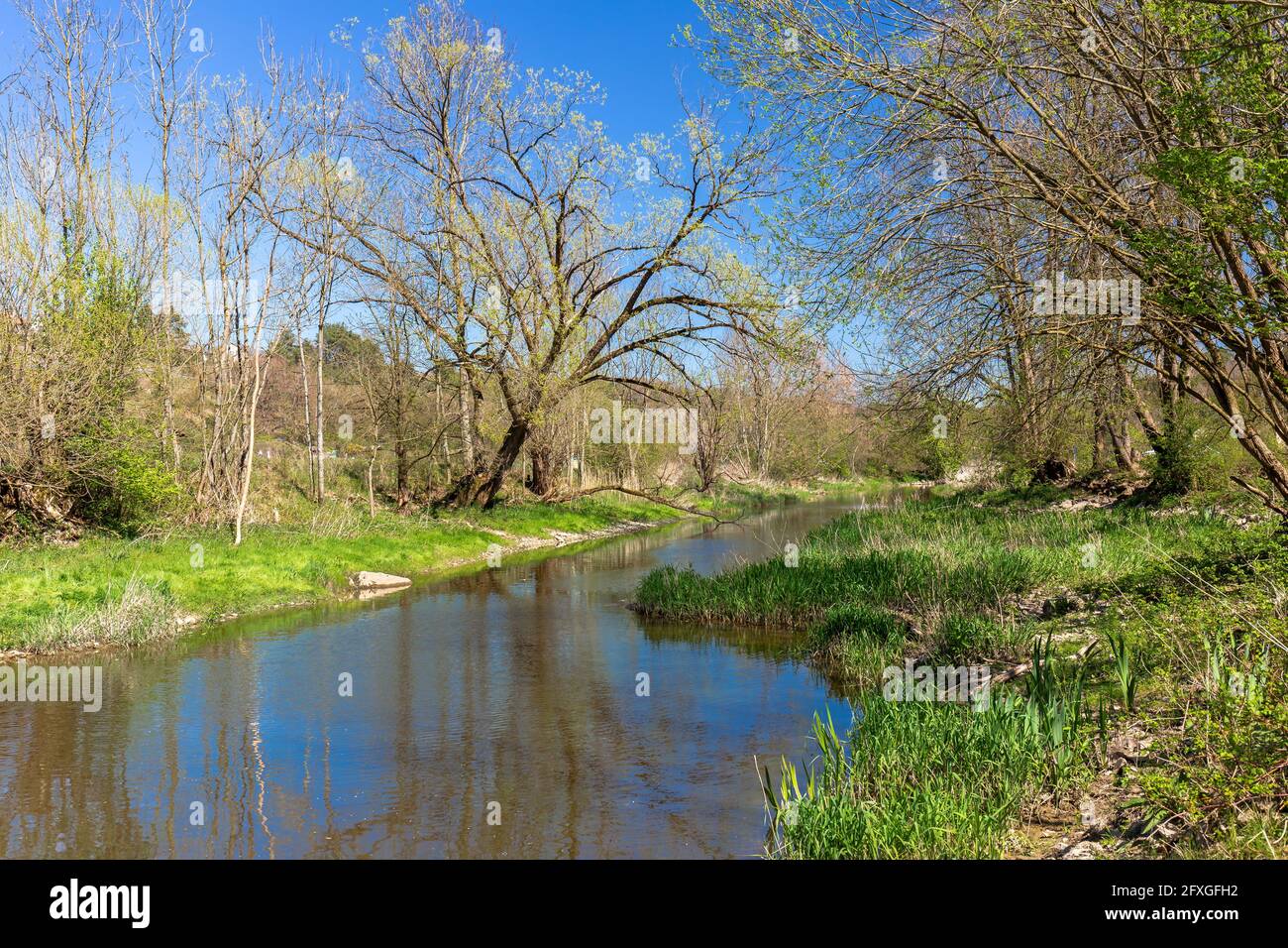 Solnhofen hi-res stock photography and images - Alamy