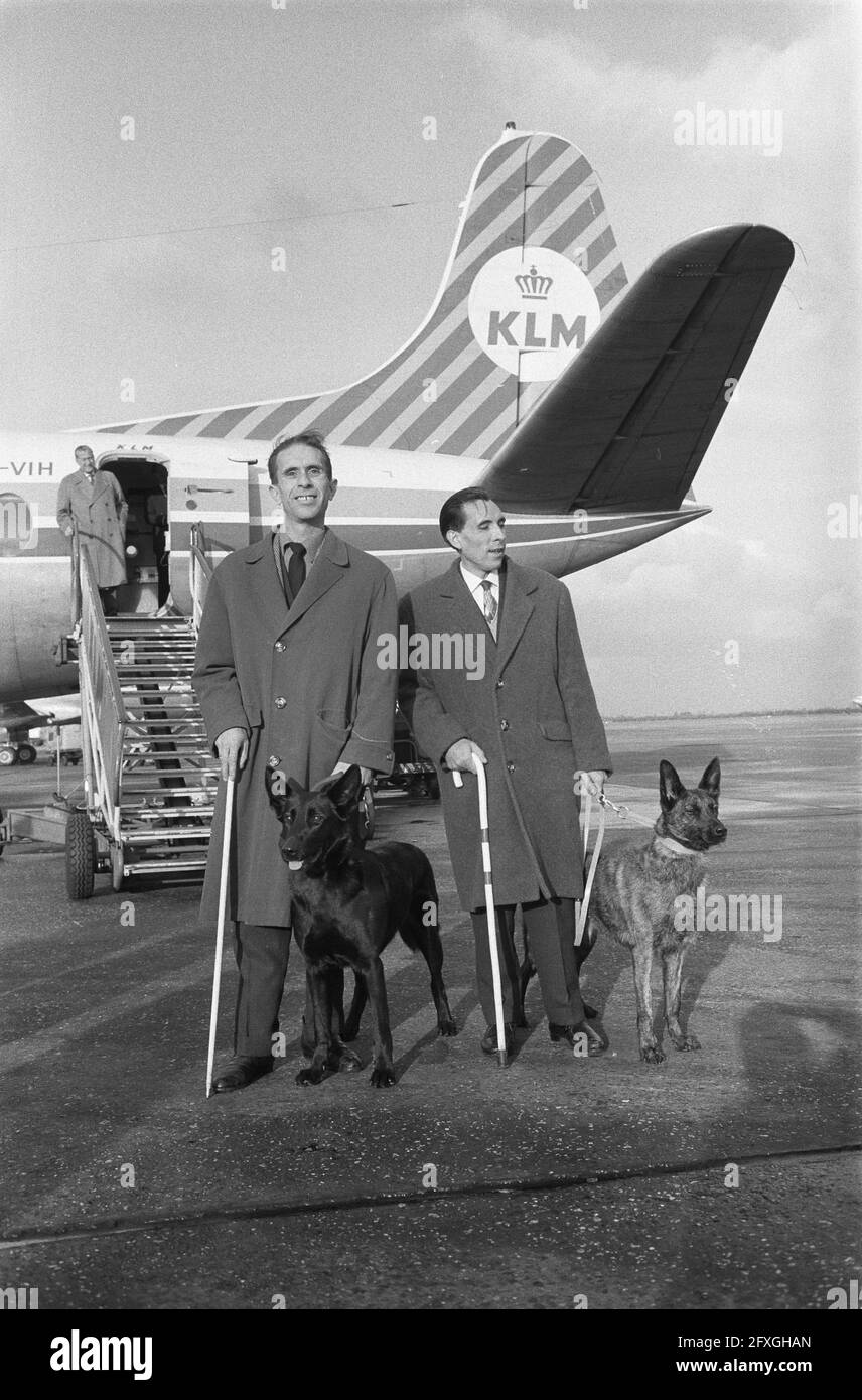 Departure from Schiphol of the first guide dog to Spain, left Mr ...