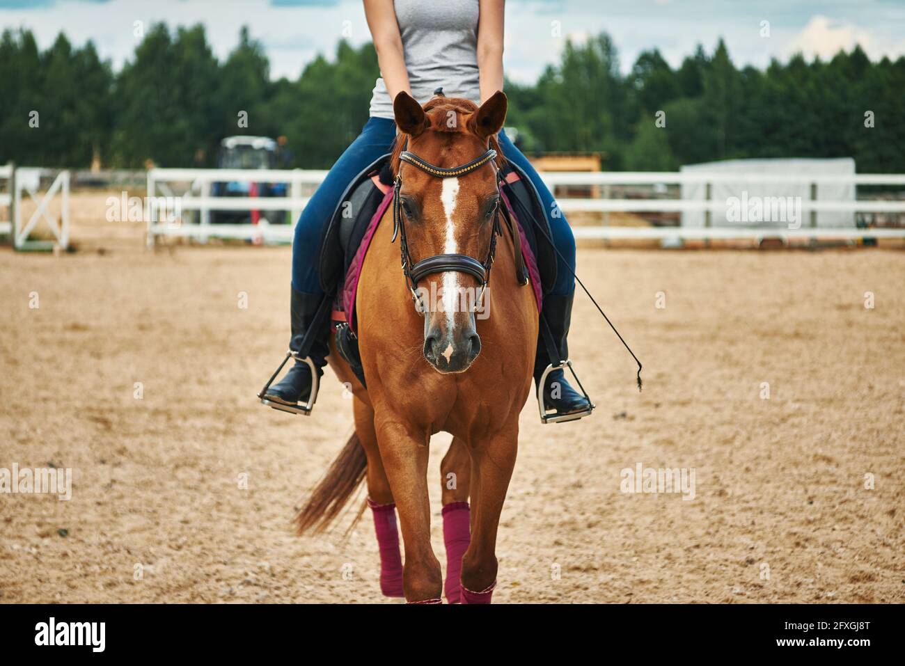girl rider riding brown horse Stock Photo - Alamy