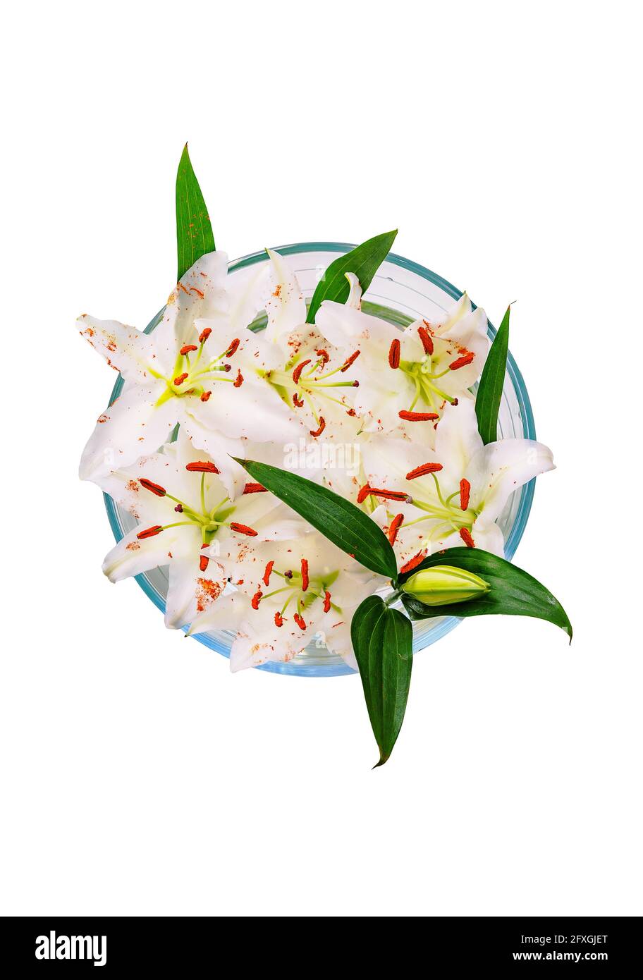 Blooming white lotus in Cut Out Stock Images & Pictures - Alamy