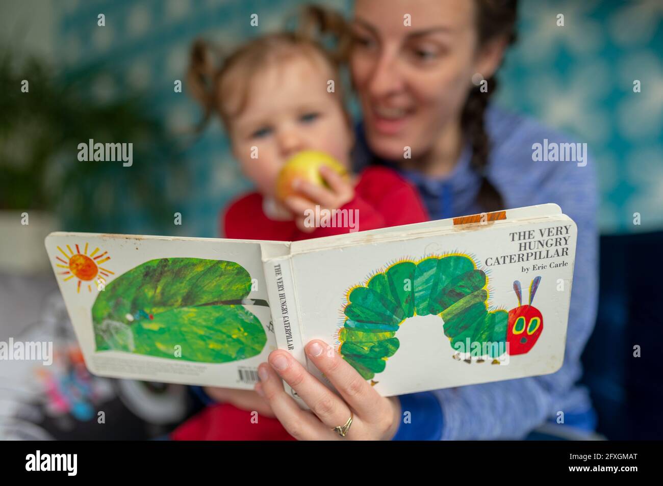Very Hungry Caterpillar Book