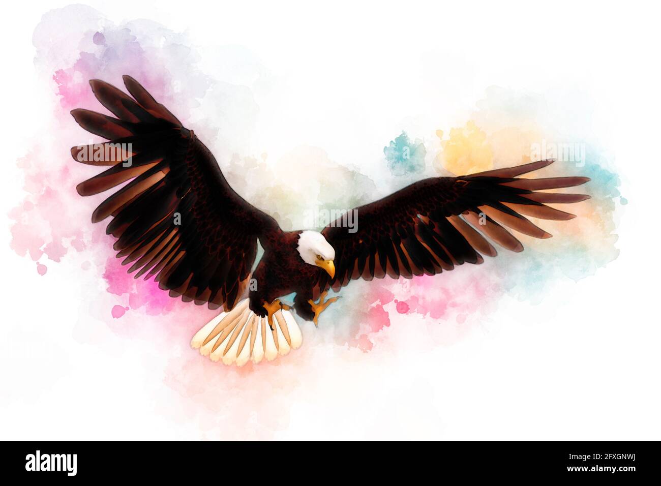 Eagle Flying Painting