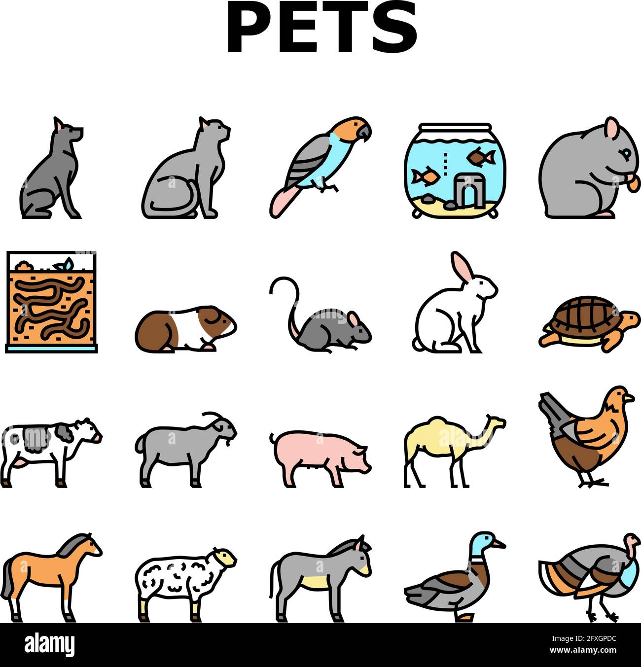 Pets Domestic Animal Collection Icons Set Vector Stock Vector Image ...