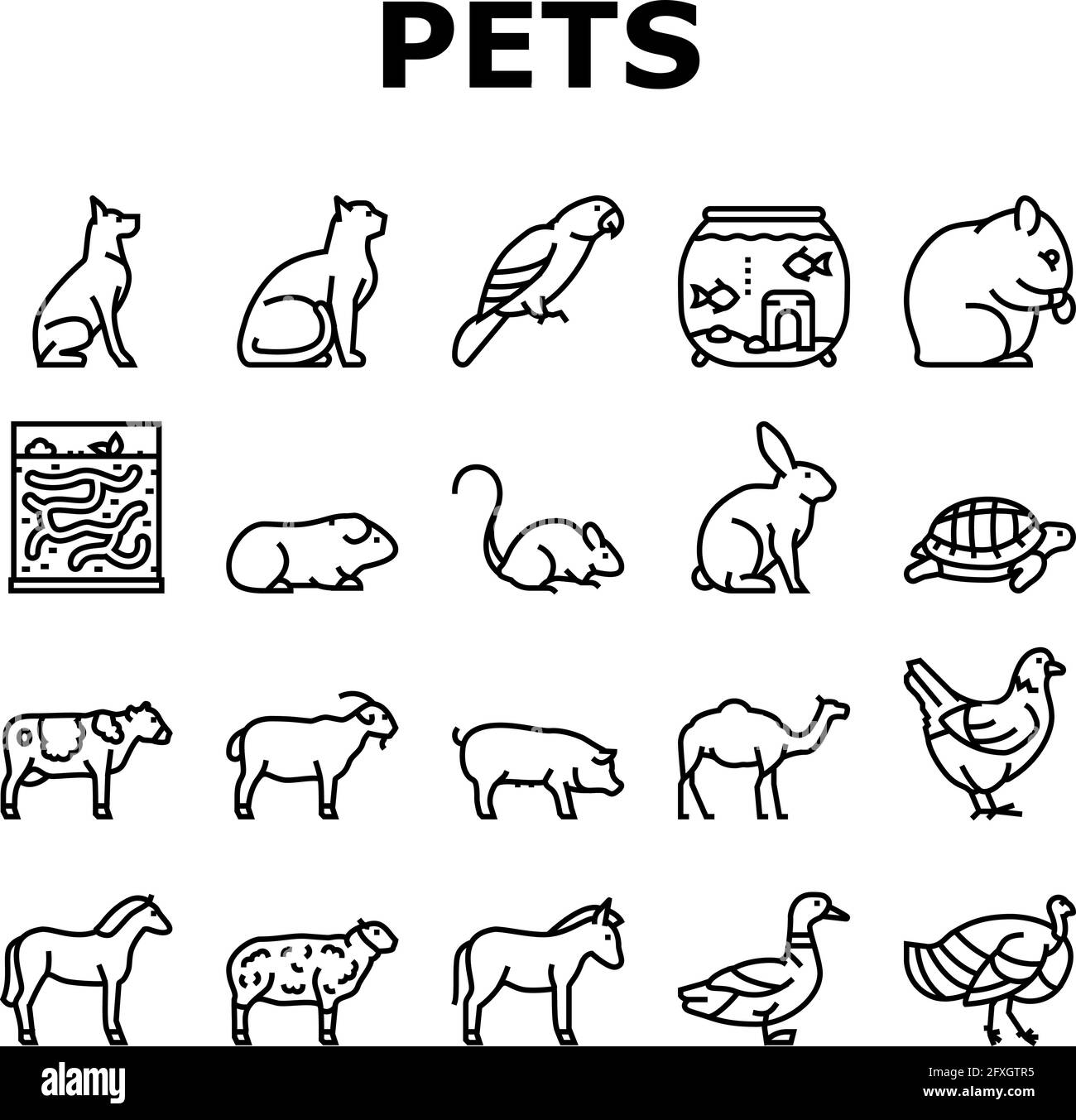 Pets Domestic Animal Collection Icons Set Vector Stock Vector Image ...