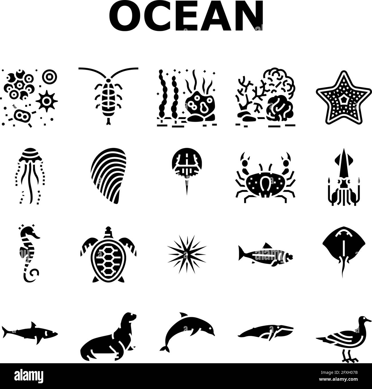 Zooplankton collection hi-res stock photography and images - Alamy