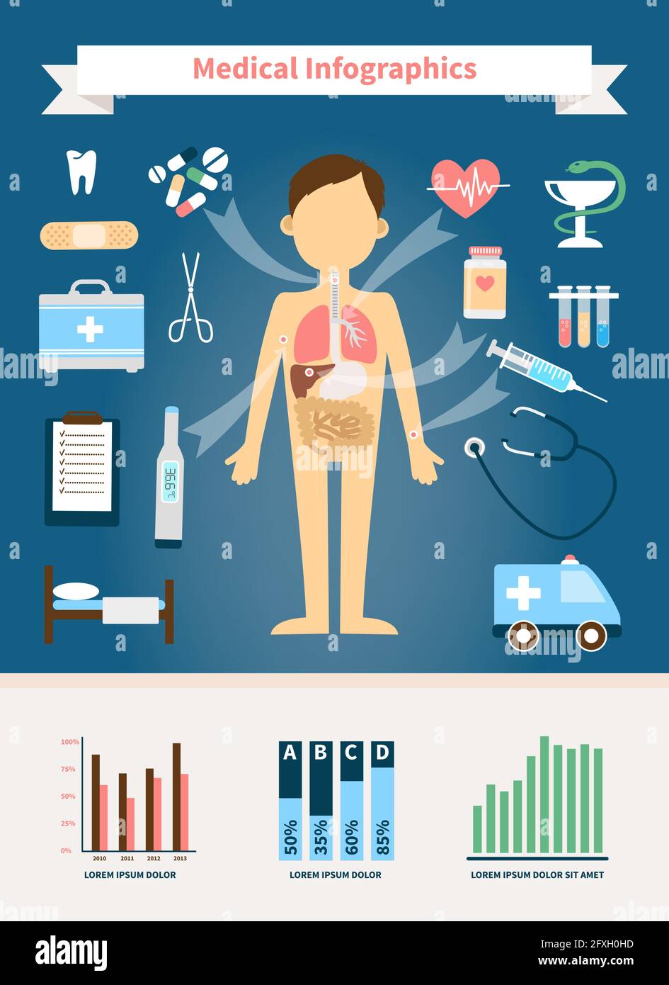 Medical Infographics Text Anatomy Illustration High Resolution Stock ...