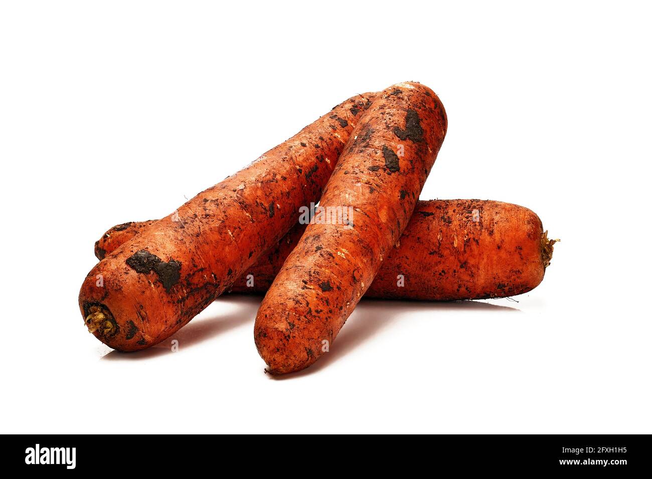dirty big ripe carrots isolated on white background Stock Photo - Alamy