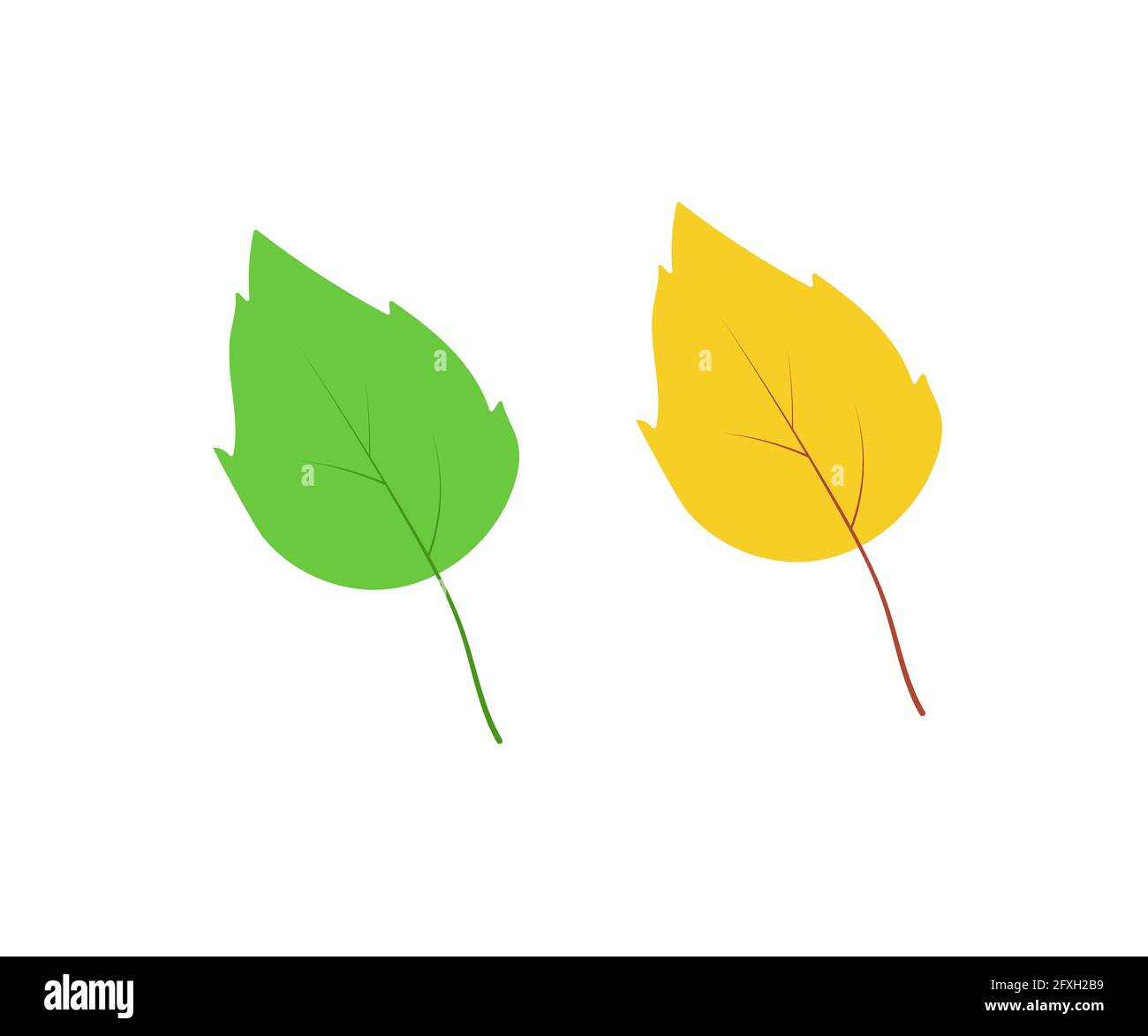 Aspen Leaves Clipart Leaf