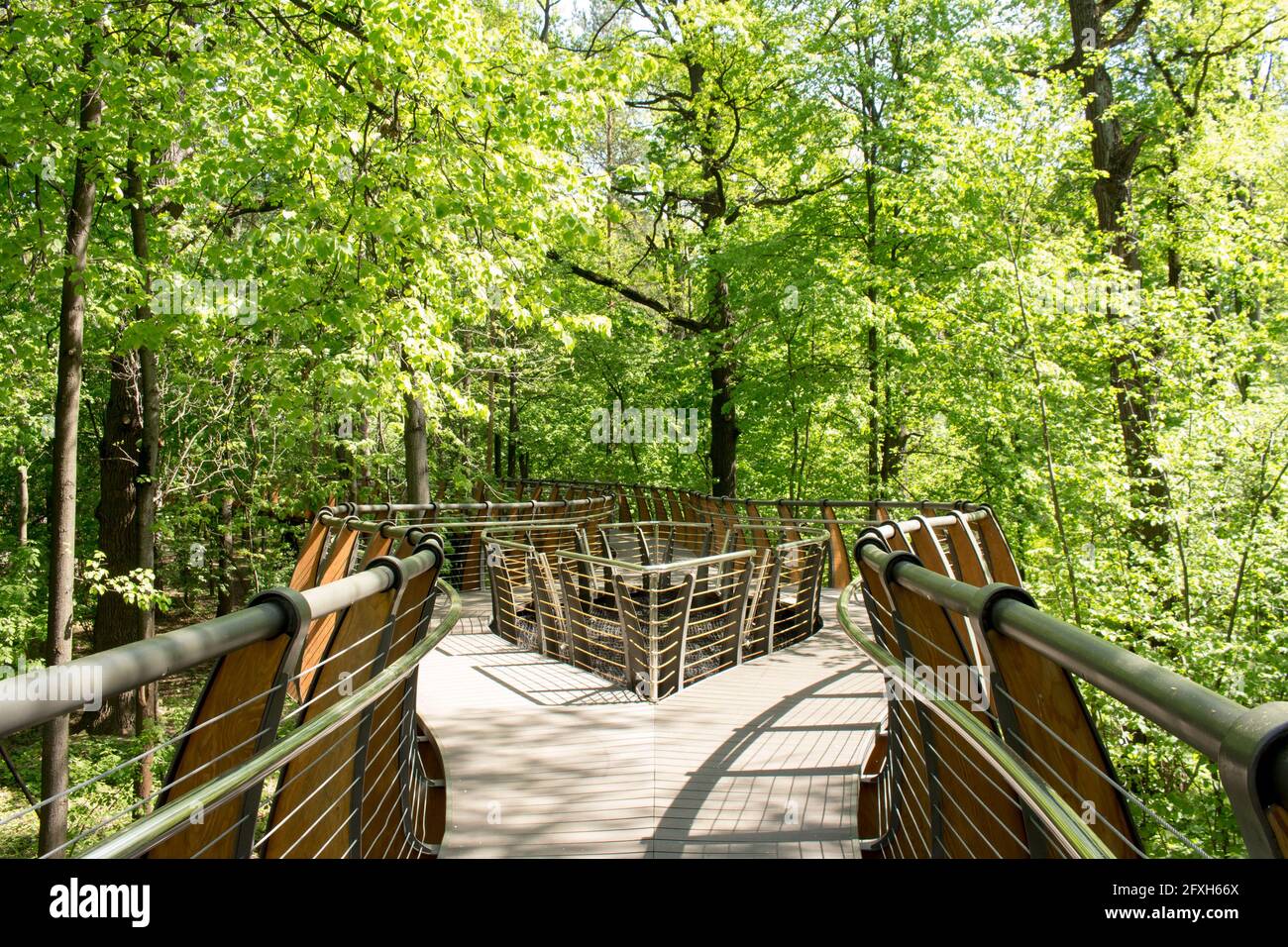 Russia, Moscow: Aerial ecological trail among tree crowns, VDNH park ...