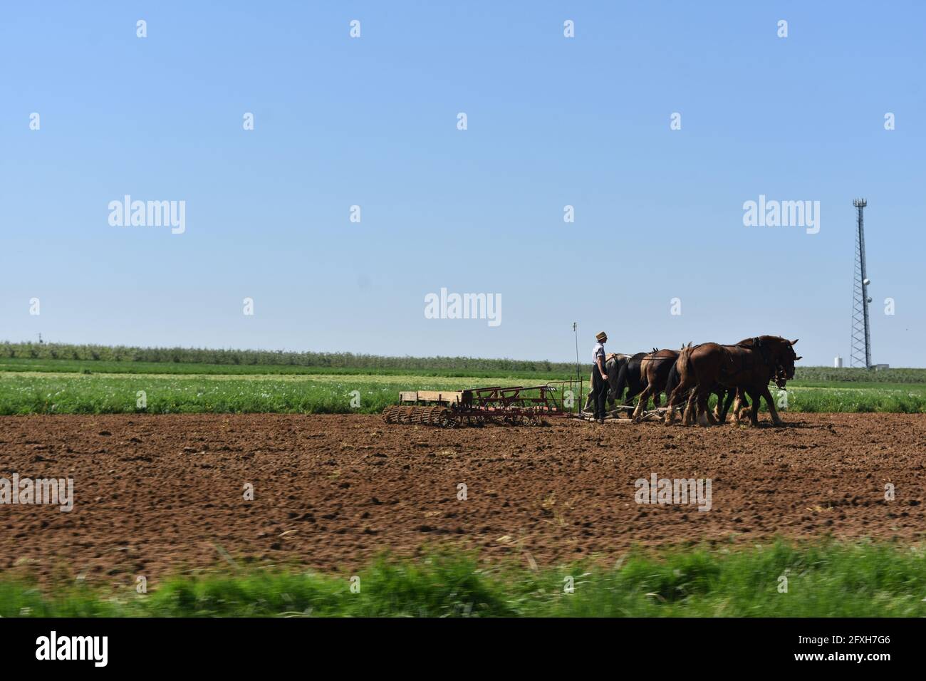 Amish Farmer High Resolution Stock Photography and Images - Alamy