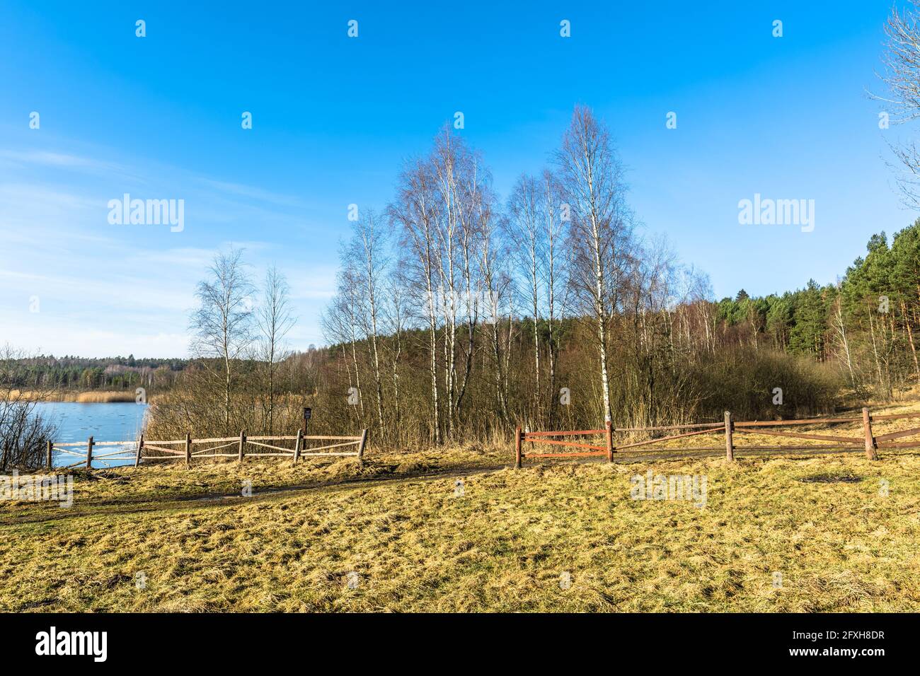 Vintage landscape field forest hi-res stock photography and images - Alamy