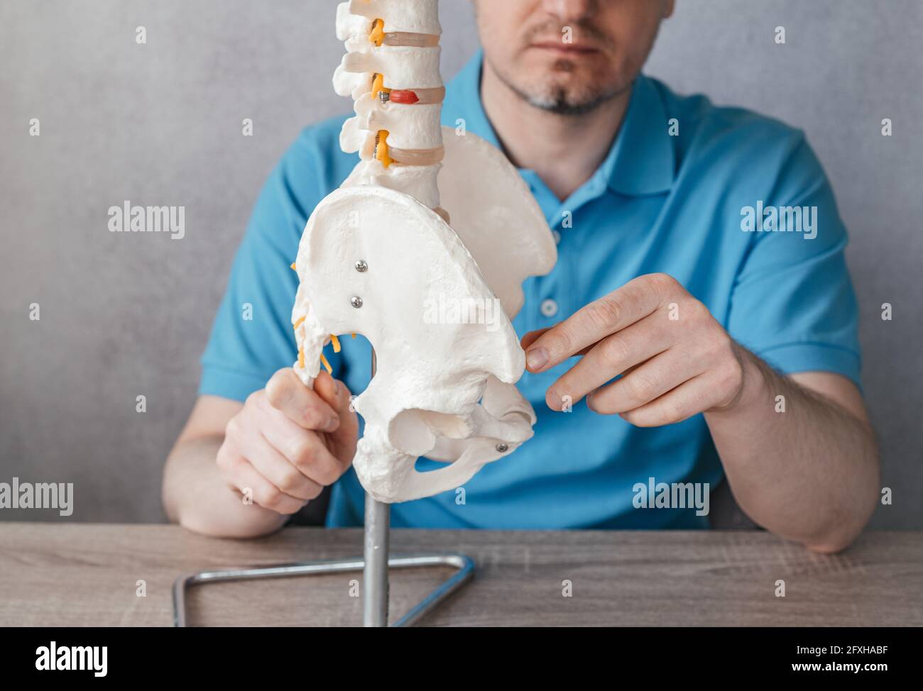 Close up of male doctor's hand showing asis anterior superior illiac ...