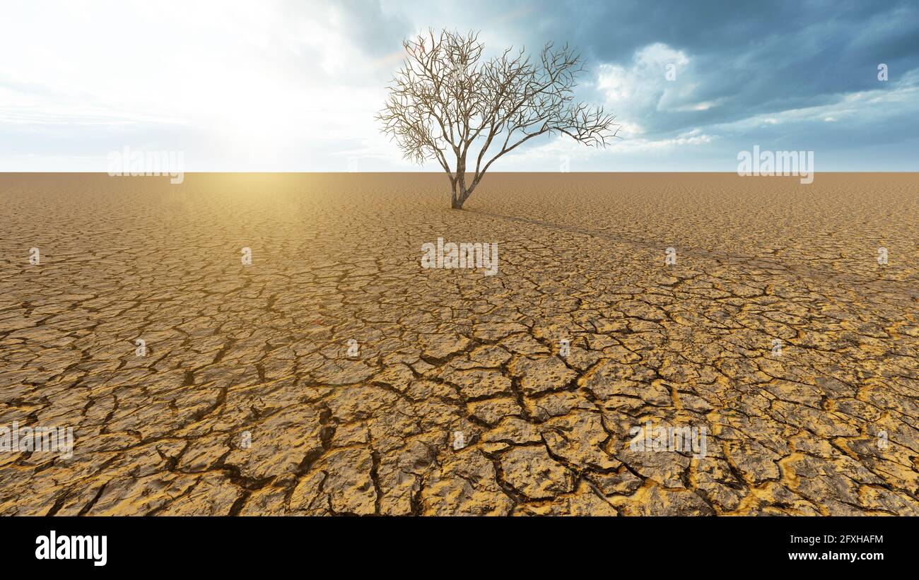 Concept or conceptual desert landscape with a parched tree as a ...