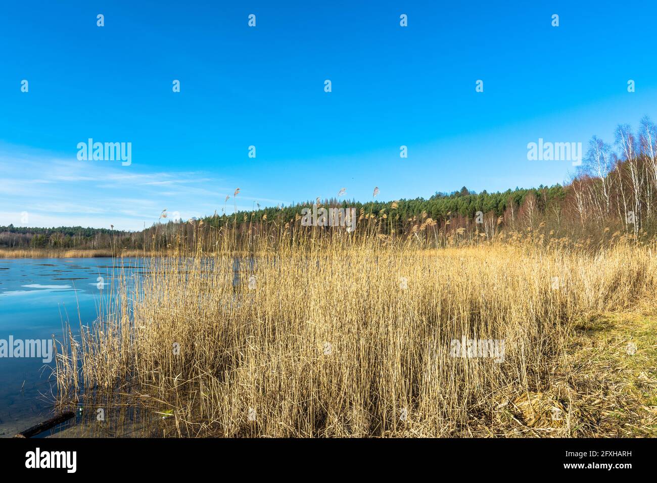 Beautiful lake landscape Stock Photo - Alamy