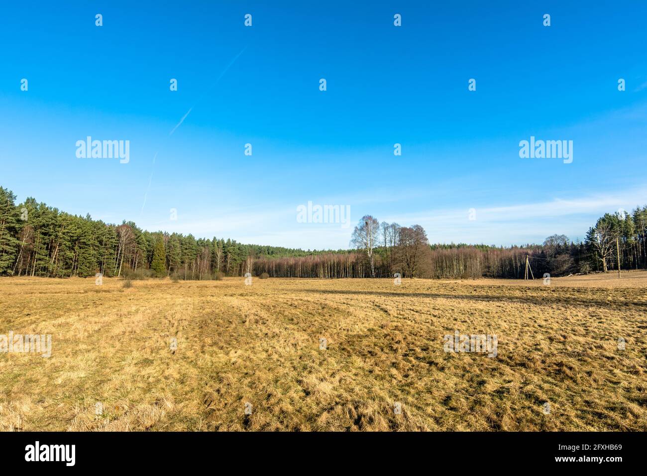 Early spring landscape of rural field and forest Stock Photo - Alamy