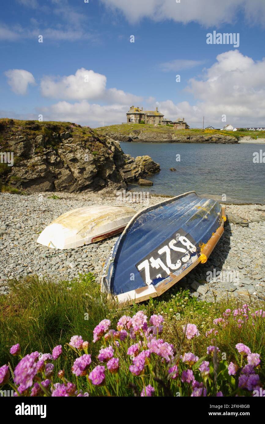 Flora y hi-res stock photography and images - Alamy