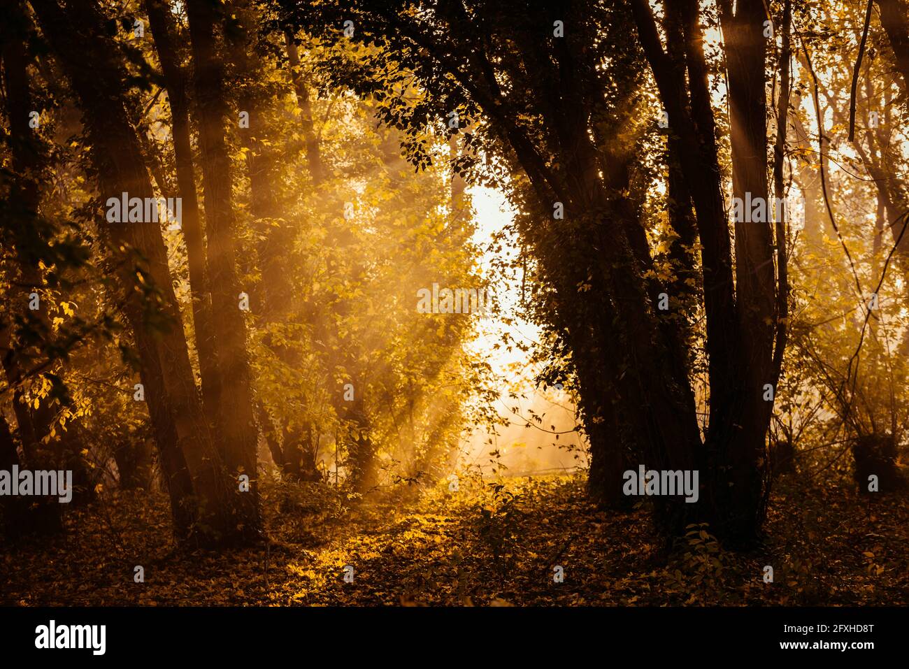 Puit hi-res stock photography and images - Alamy